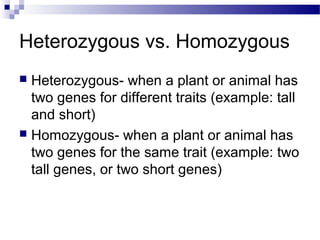 Powerpoint genetics 1 | PPT