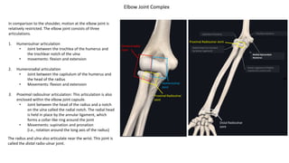 PowerPointHandout_ArmCubitalFossaElbow.pptx