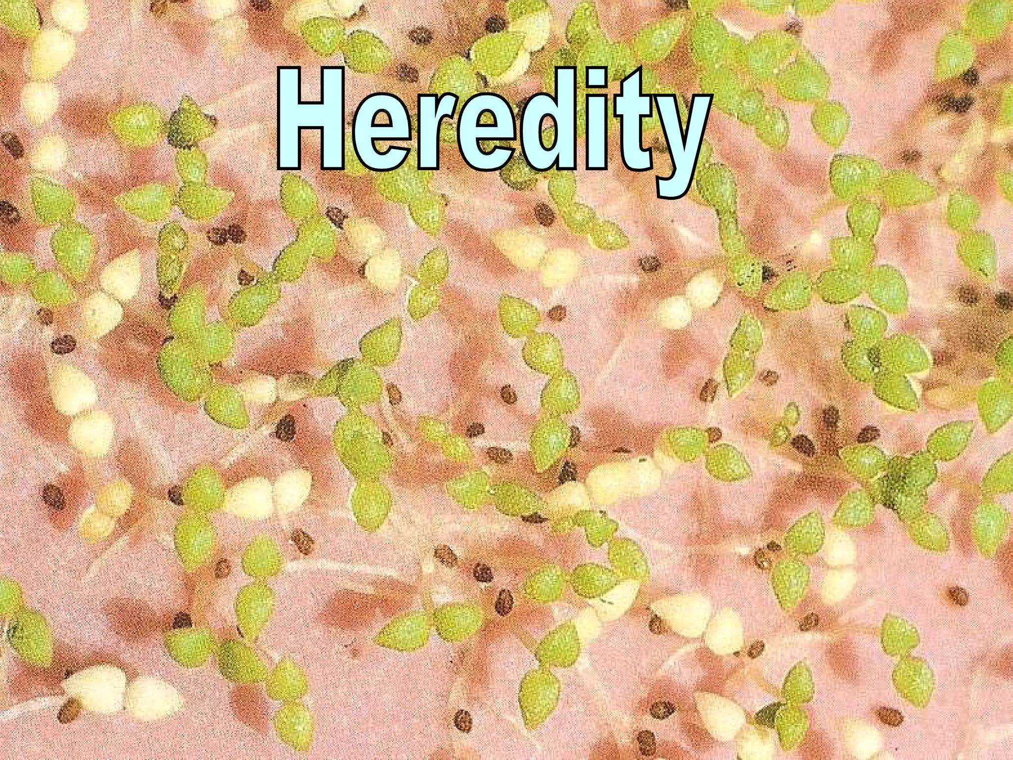 Powerpoint heredity | PPT