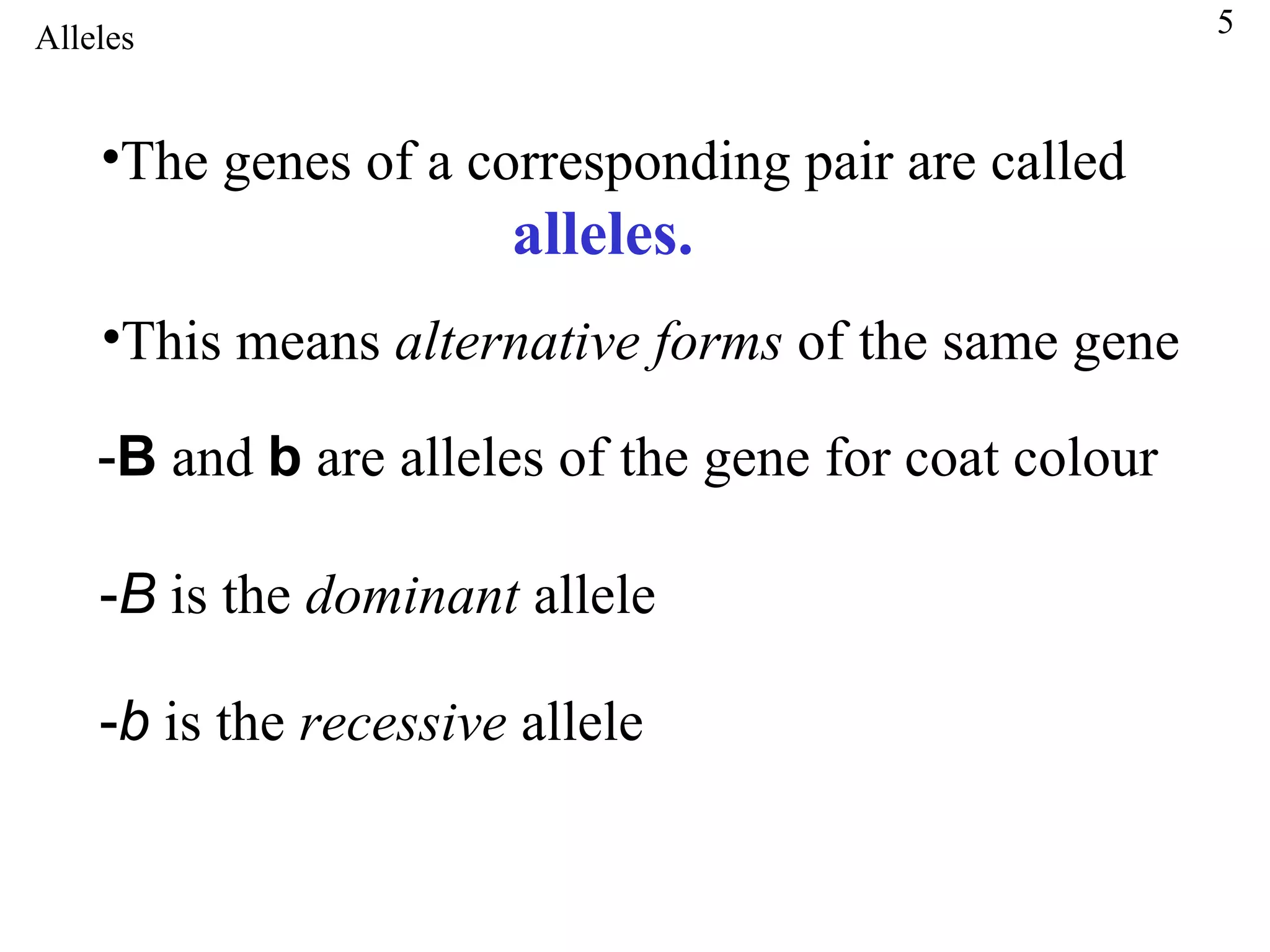 Powerpoint heredity | PPT