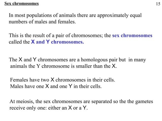 Powerpoint heredity | PPT