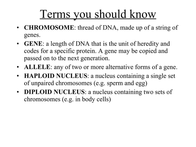 Powerpoint heredity | PPT