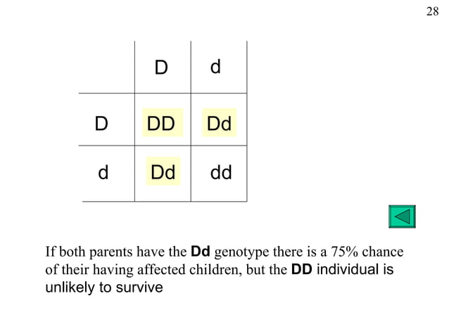 Powerpoint heredity | PPT