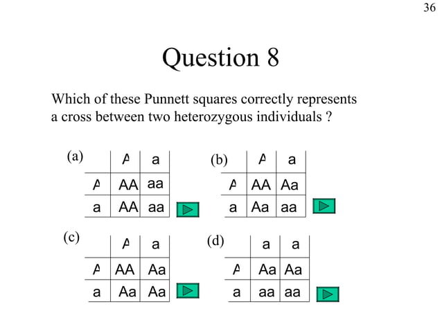 Powerpoint heredity | PPT