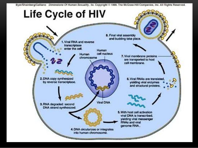 HIV/AIDS (IMMUNOLOGY)
