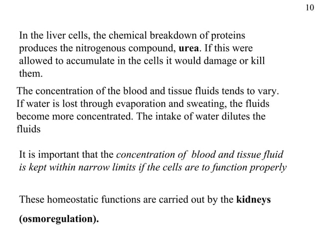 Powerpoint homeostasis | PPT