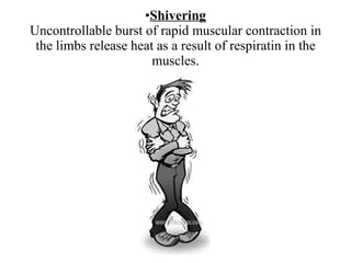 Powerpoint homeostasis | PPT