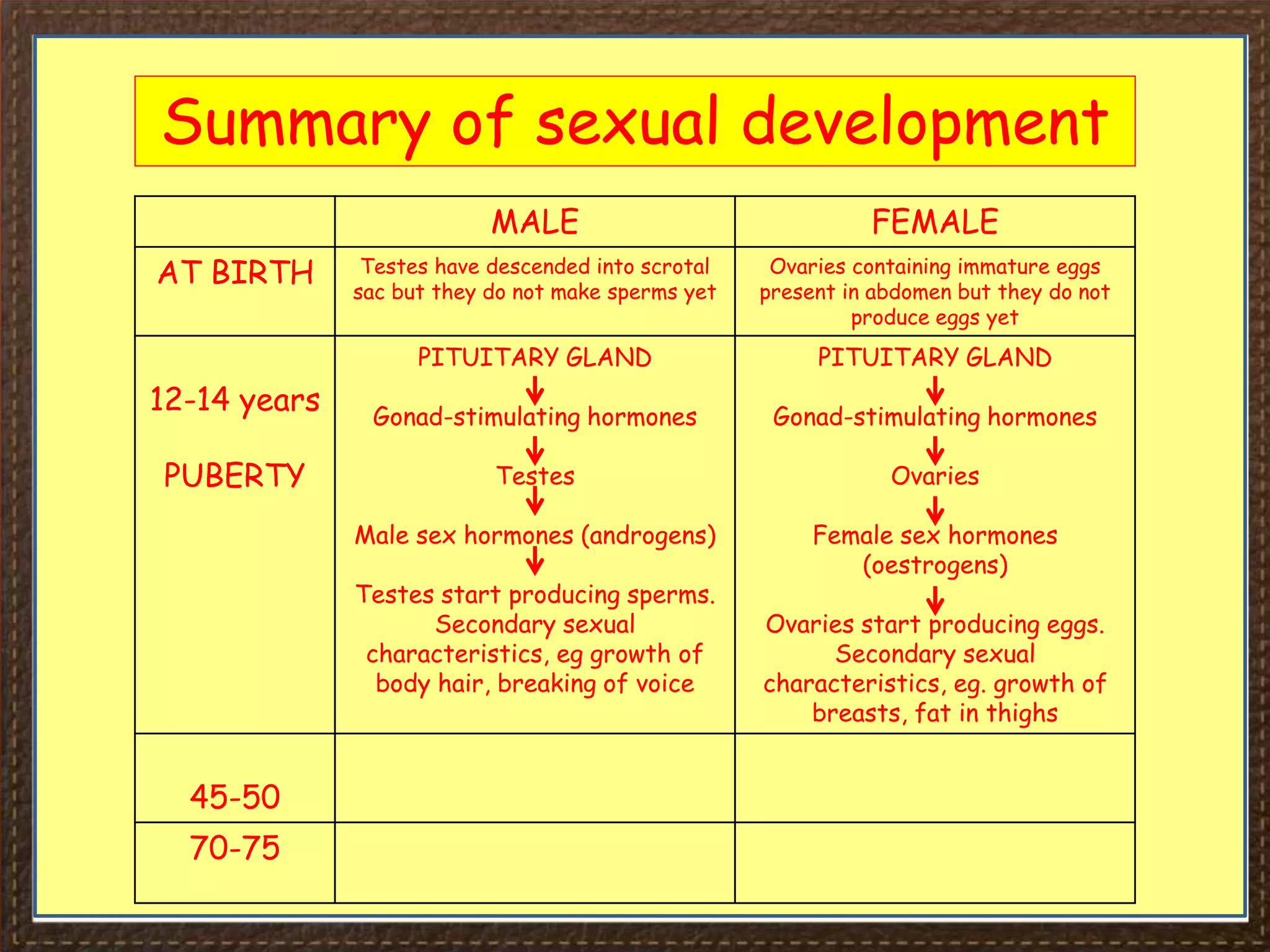 Powerpoint Human Reproductive System.ppt