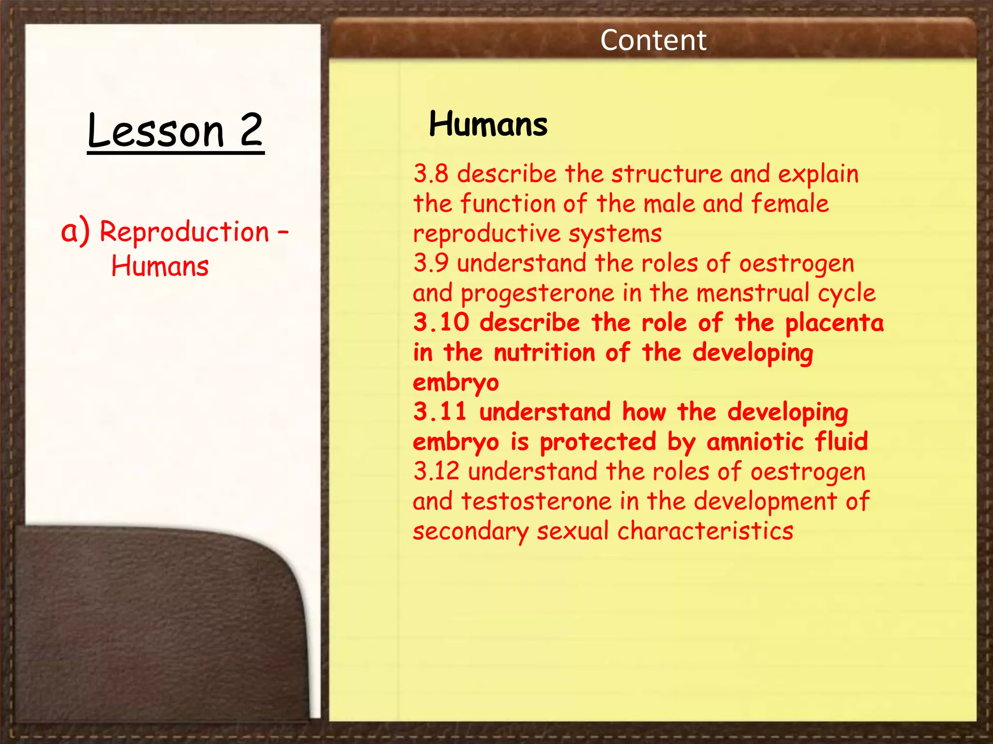 Powerpoint Human Reproductive System.ppt