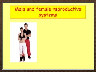 Powerpoint Human Reproductive System.ppt