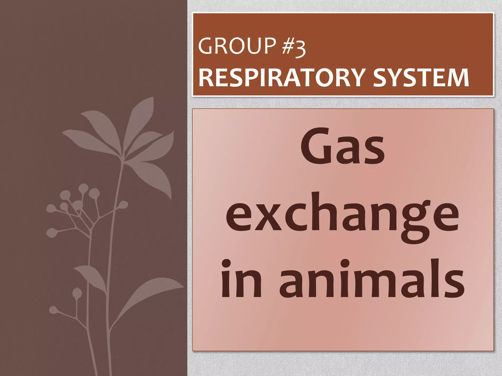 GAS EXCHANGE IN ANIMALS | PPTX