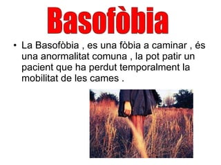 Powerpoint Les Fòbies | PPT