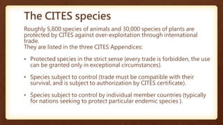 Power point inglese (2) | PPT