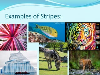 POWER POINT IN PATTERN IN NATURE.pdf