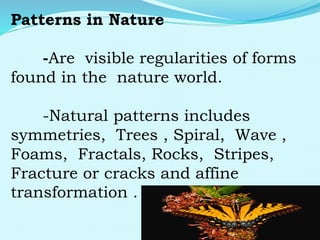 POWER POINT IN PATTERN IN NATURE.pdf