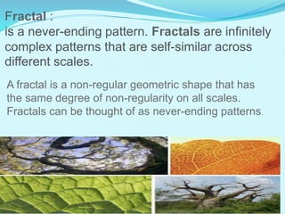 POWER POINT IN PATTERN IN NATURE.pdf