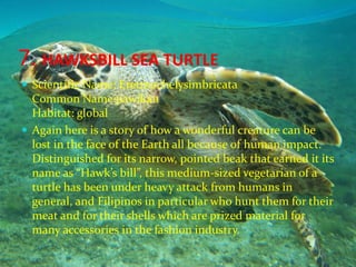 God's Great Creation | PPTX