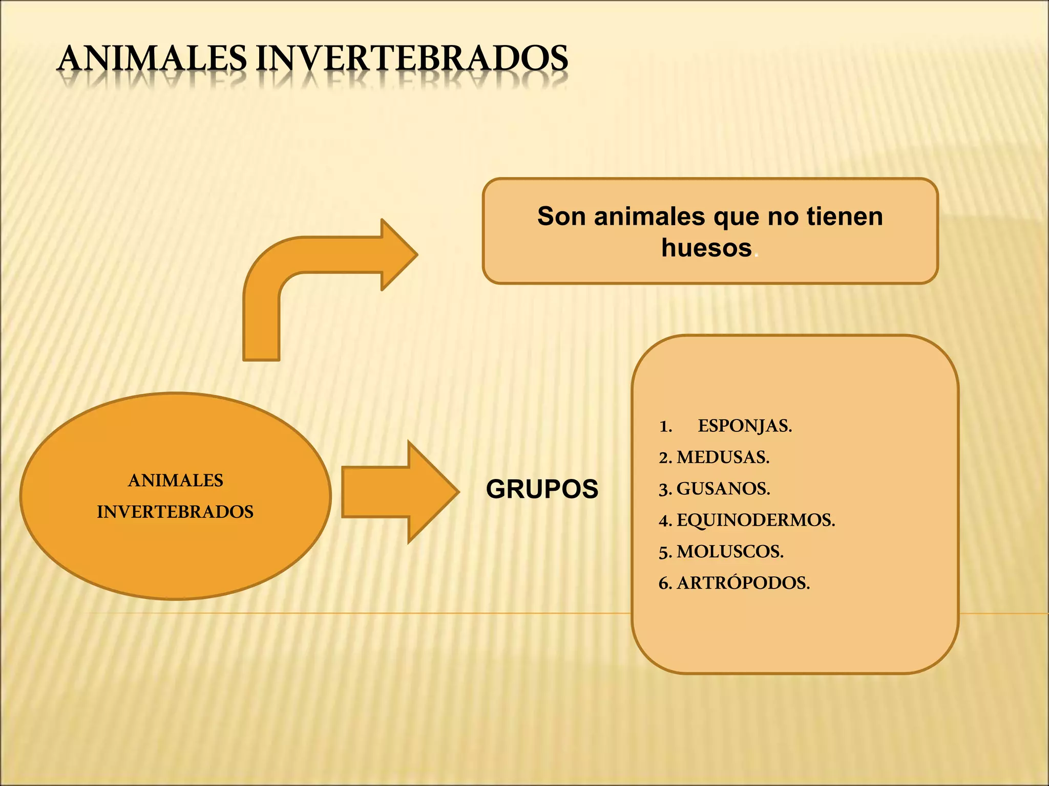 PowerPoint_Invertebrados.ppt