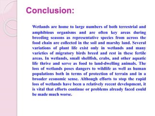 The Impacts of Urbanization on Wetland Degradation | PPTX