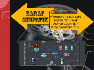 Power point kelompok saraf simpatik | PPTX