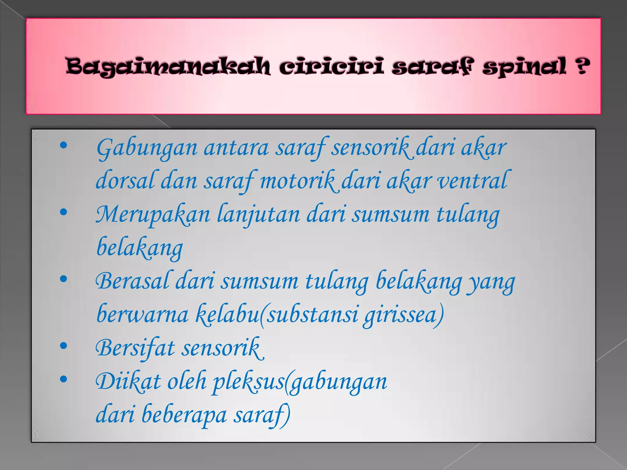 Power point kelompok saraf spinal | PPTX