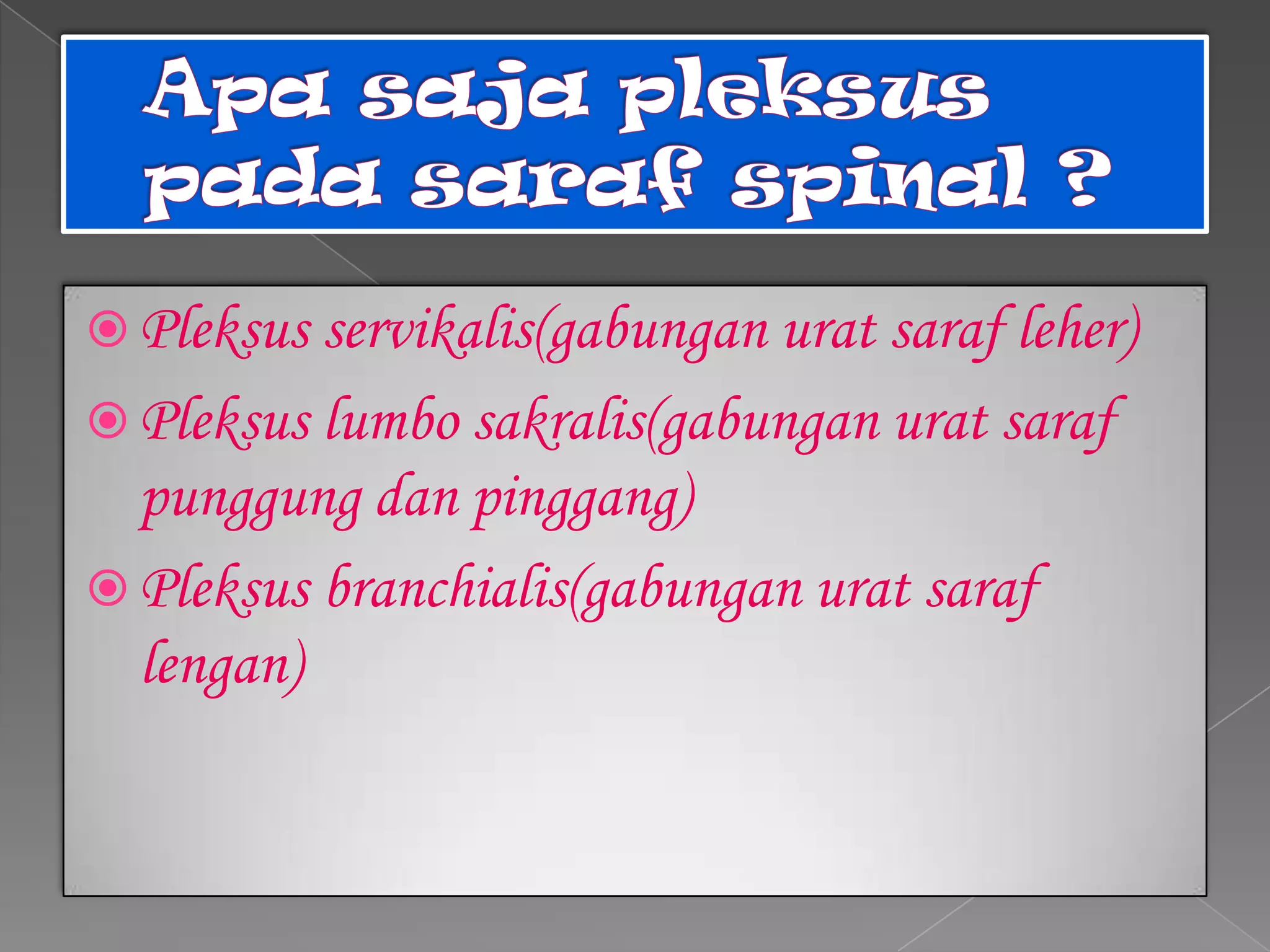 Power point kelompok saraf spinal | PPTX