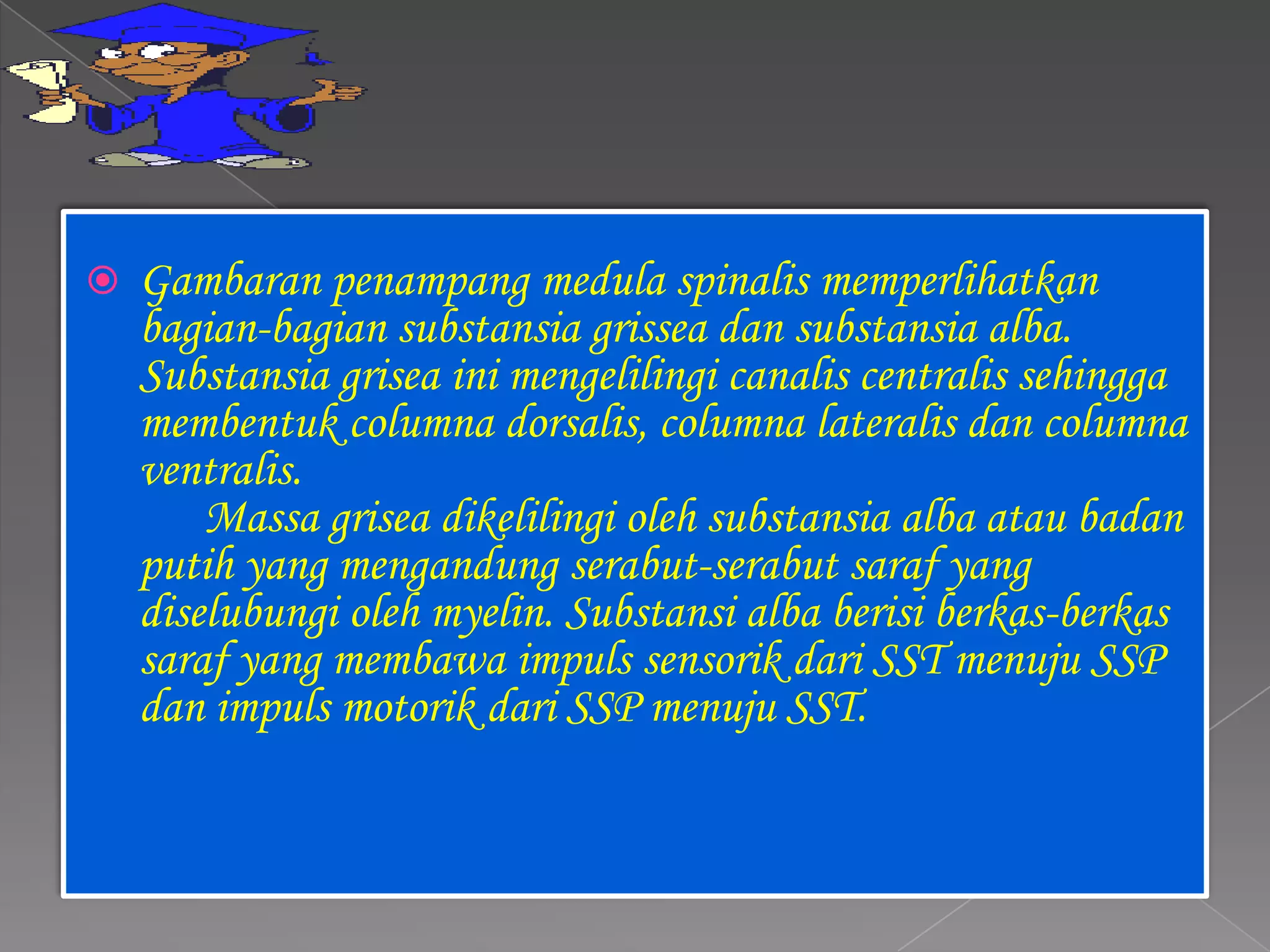 Power point kelompok saraf spinal | PPTX