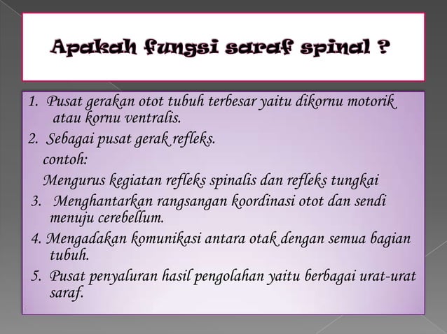Power point kelompok saraf spinal | PPTX