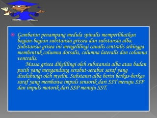 Power point kelompok saraf spinal | PPTX