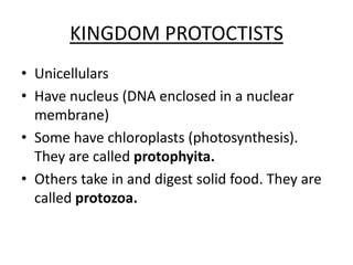 Powerpoint kingdom plants, bacteria&protctists | PPTX