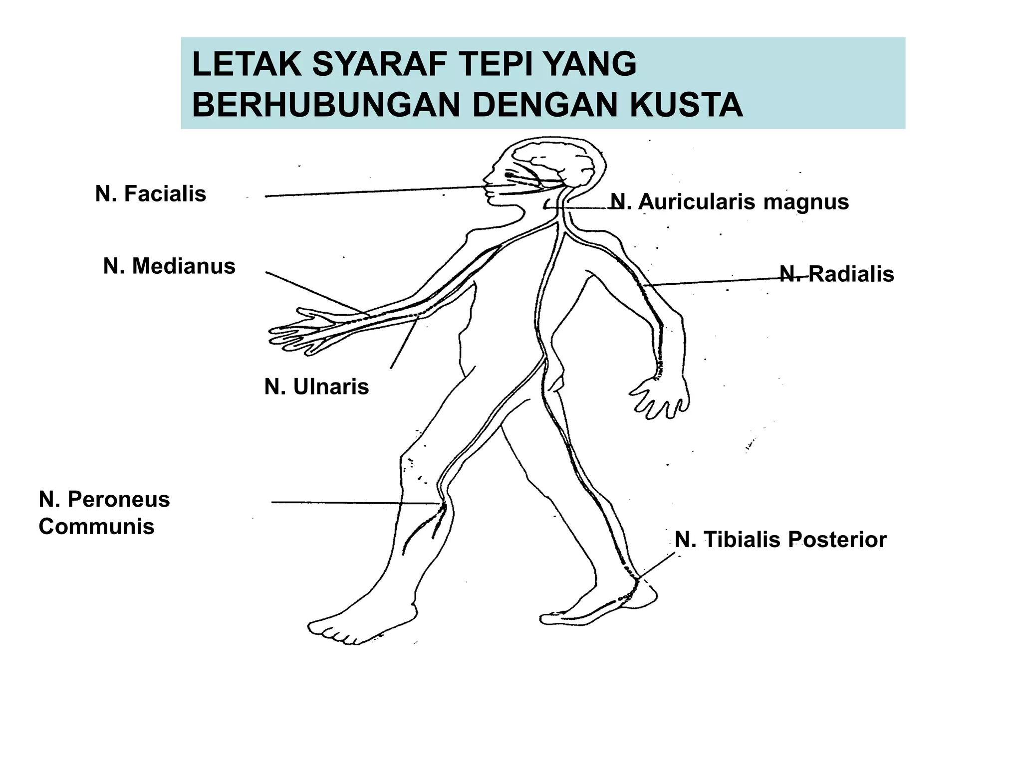 POWERPOINT KUSTA UNTUK UMUM.pptx