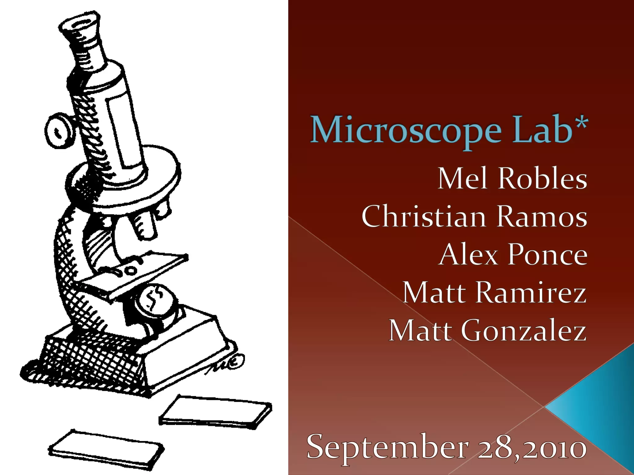 Power point lab | PPTX | Photography | Arts and Crafts