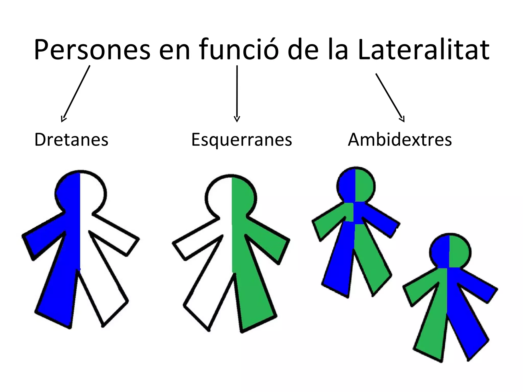 Power Point Lateralitat | PPT