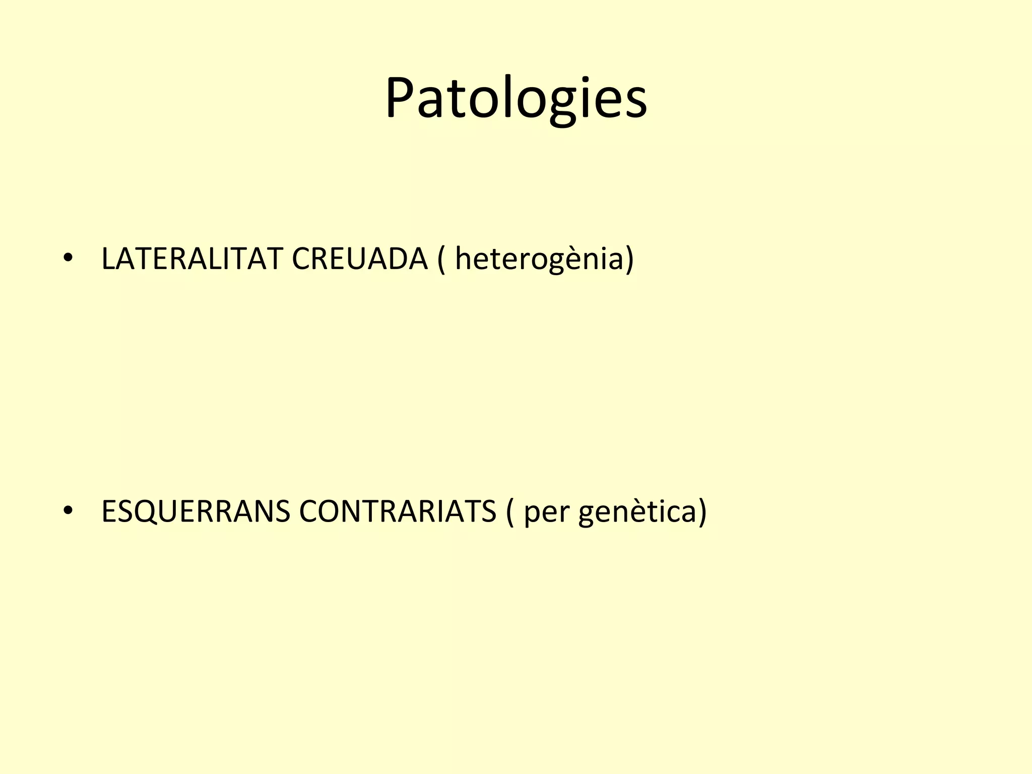 Power Point Lateralitat | PPT
