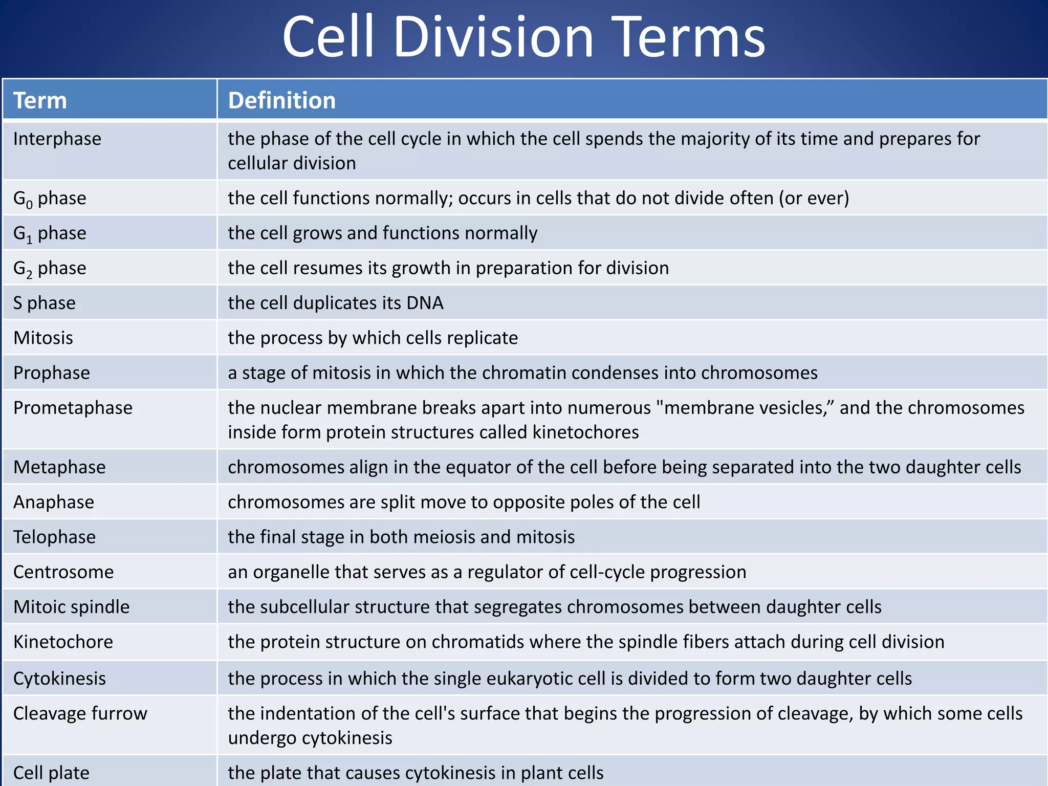 DNA Replication, Mitosis, meiosis, and the Cell Cycle | PPTX