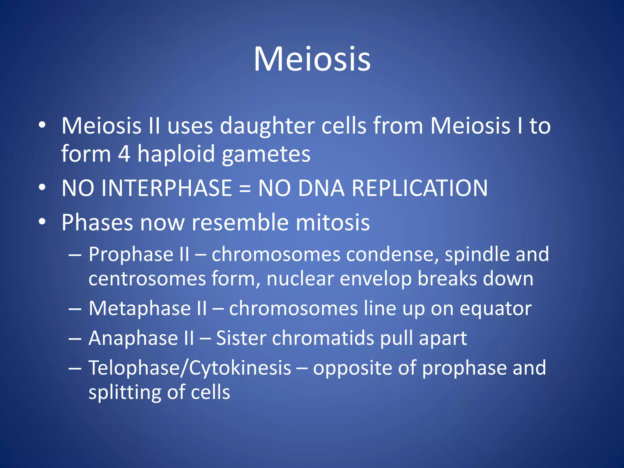 DNA Replication, Mitosis, meiosis, and the Cell Cycle | PPTX