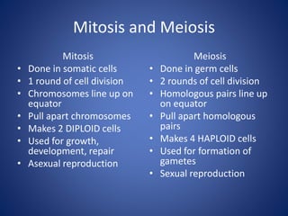 DNA Replication, Mitosis, meiosis, and the Cell Cycle | PPTX