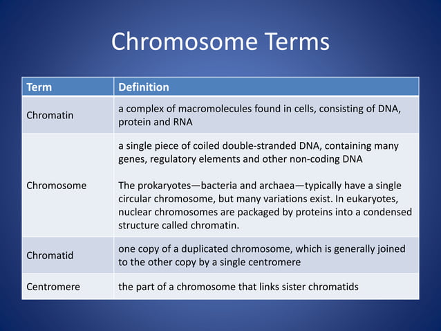 DNA Replication, Mitosis, meiosis, and the Cell Cycle