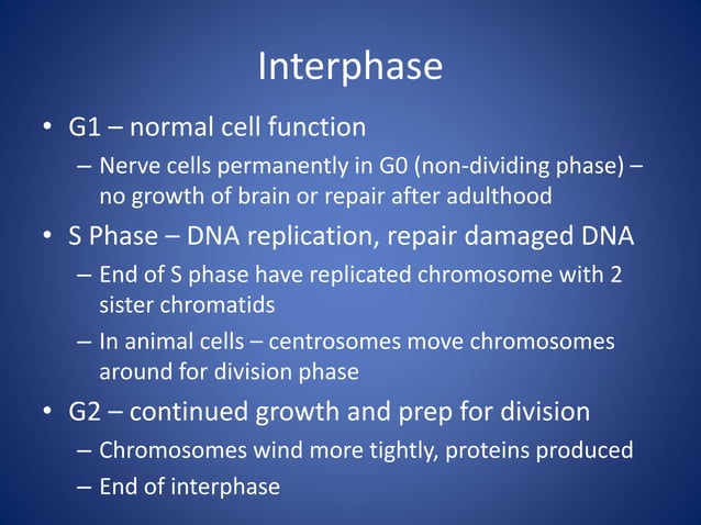 DNA Replication, Mitosis, meiosis, and the Cell Cycle