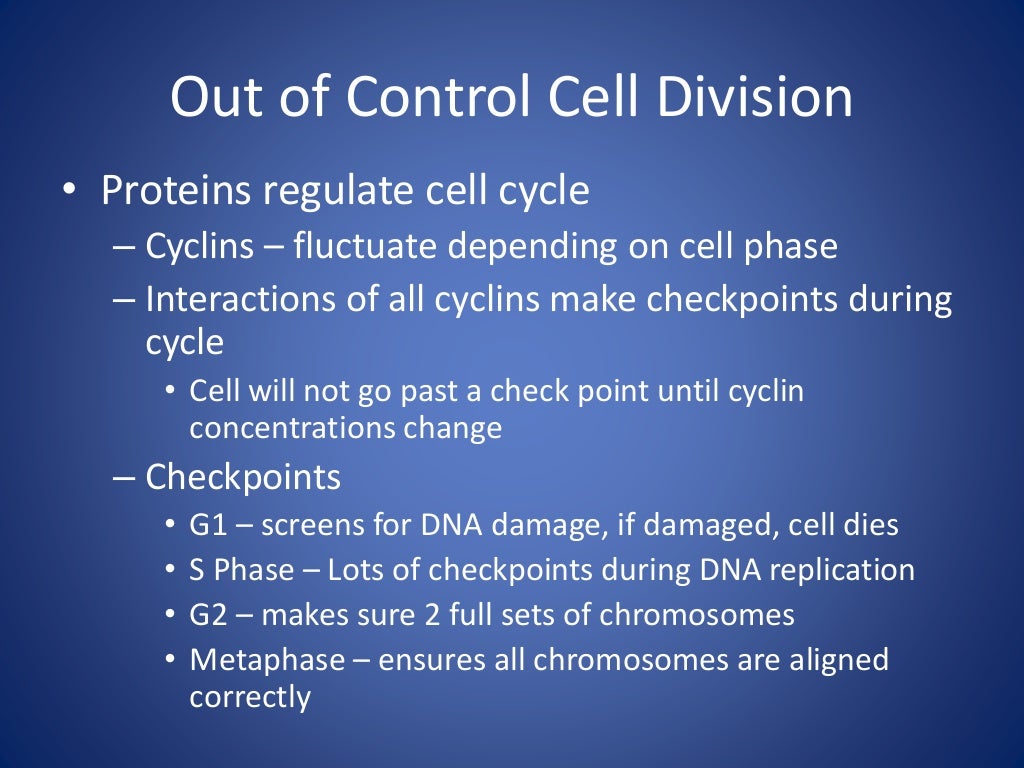 DNA Replication, Mitosis, meiosis, and the Cell Cycle