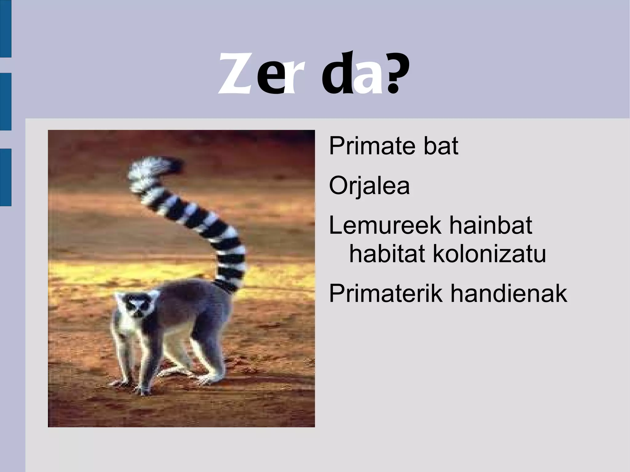 Power point lemur | ODP