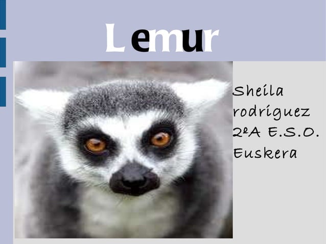 Power point lemur | ODP