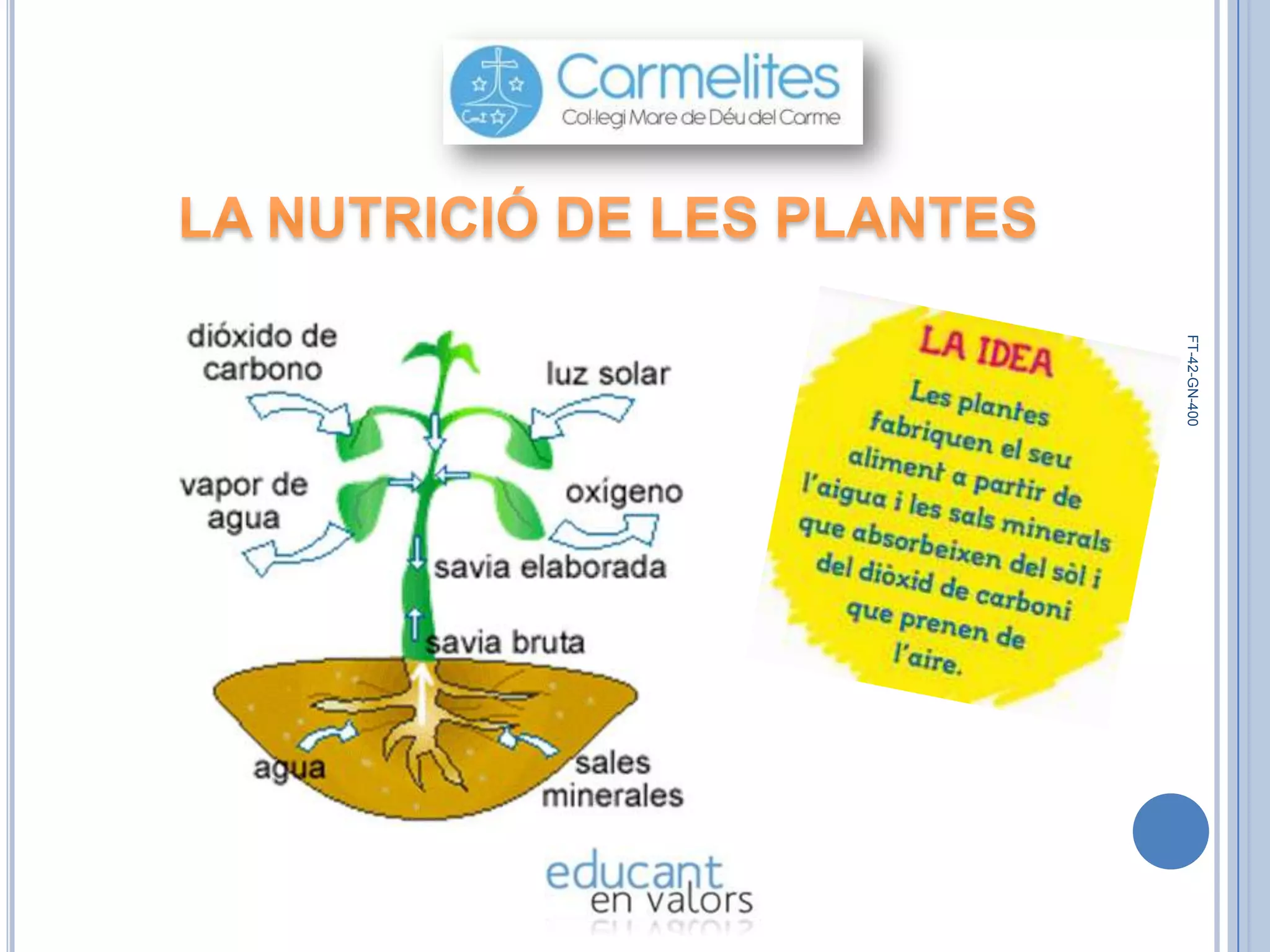 Power point les plantes | PPTX
