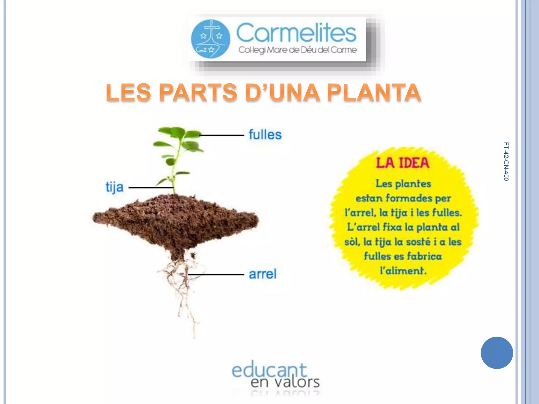 Power point les plantes | PPT