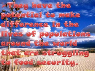 Powerpoint lhyn | PPT