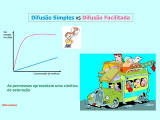 Membrana celular e transporte membranares (biologia humana) | PPT