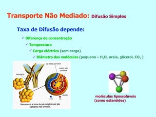 Membrana celular e transporte membranares (biologia humana) | PPT