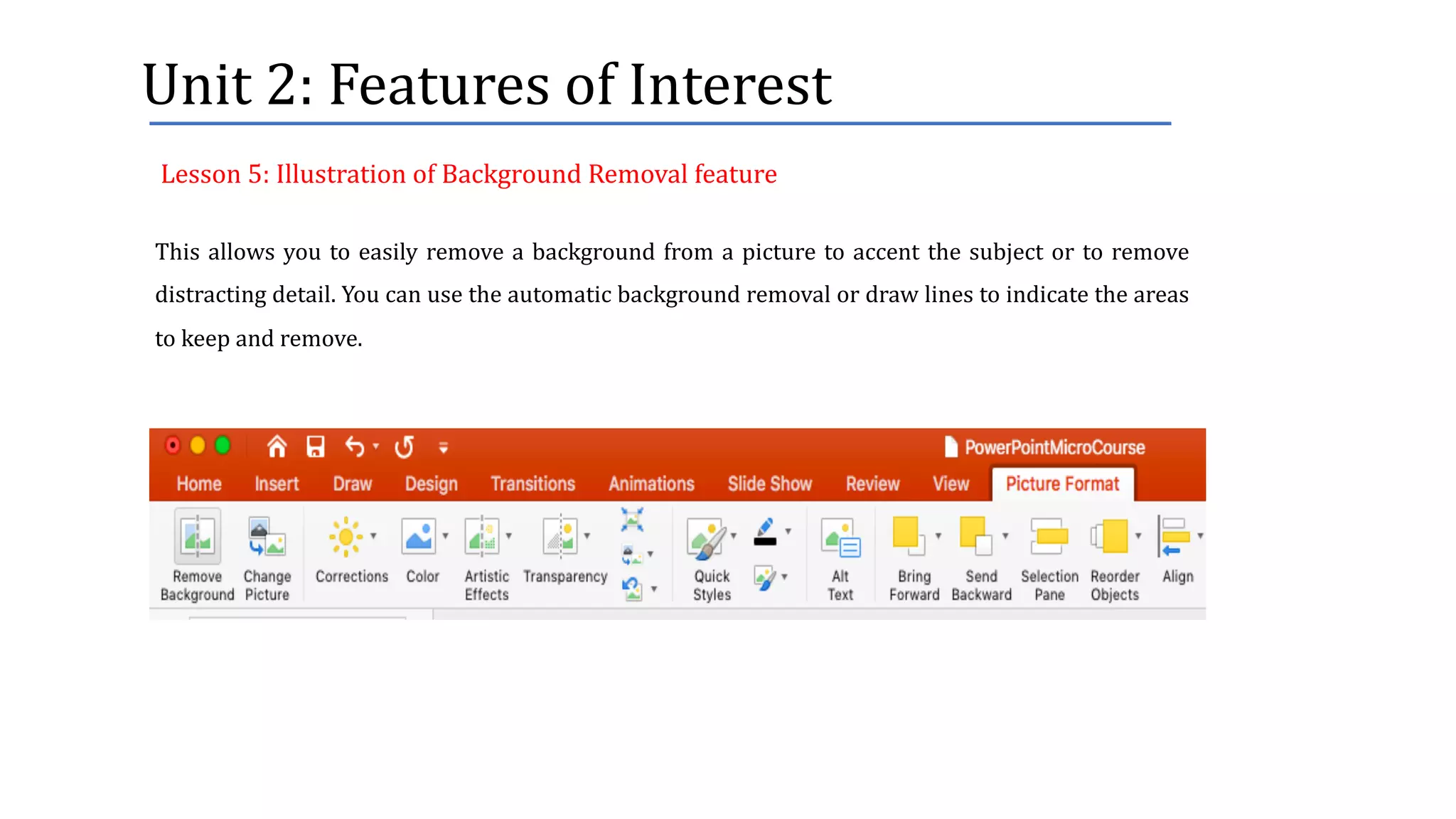 Microsoft PowerPoint 2019 - New Features | PDF | Computer Software and ...