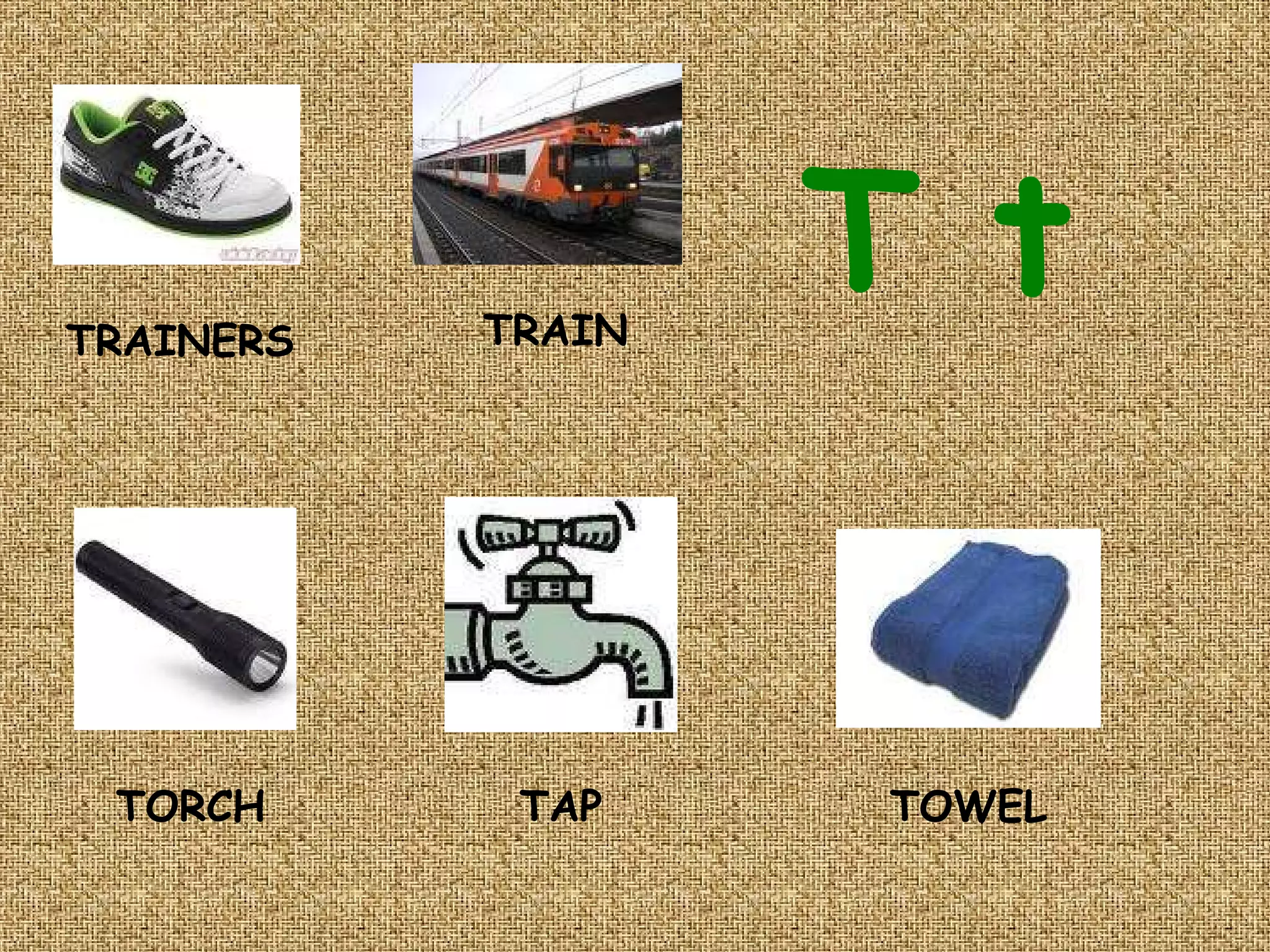 Power point Miguel | PPS