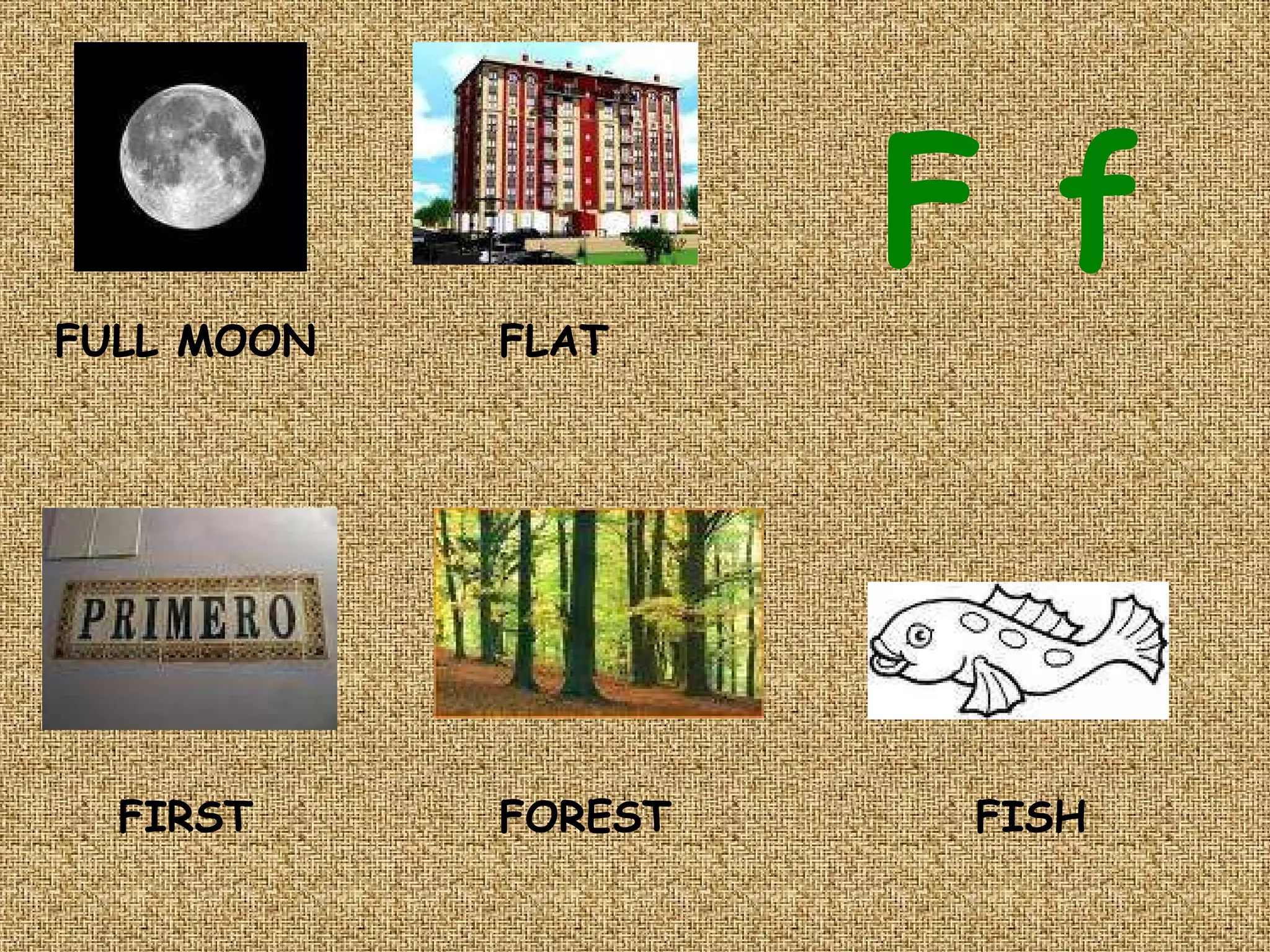 Power point Miguel | PPS